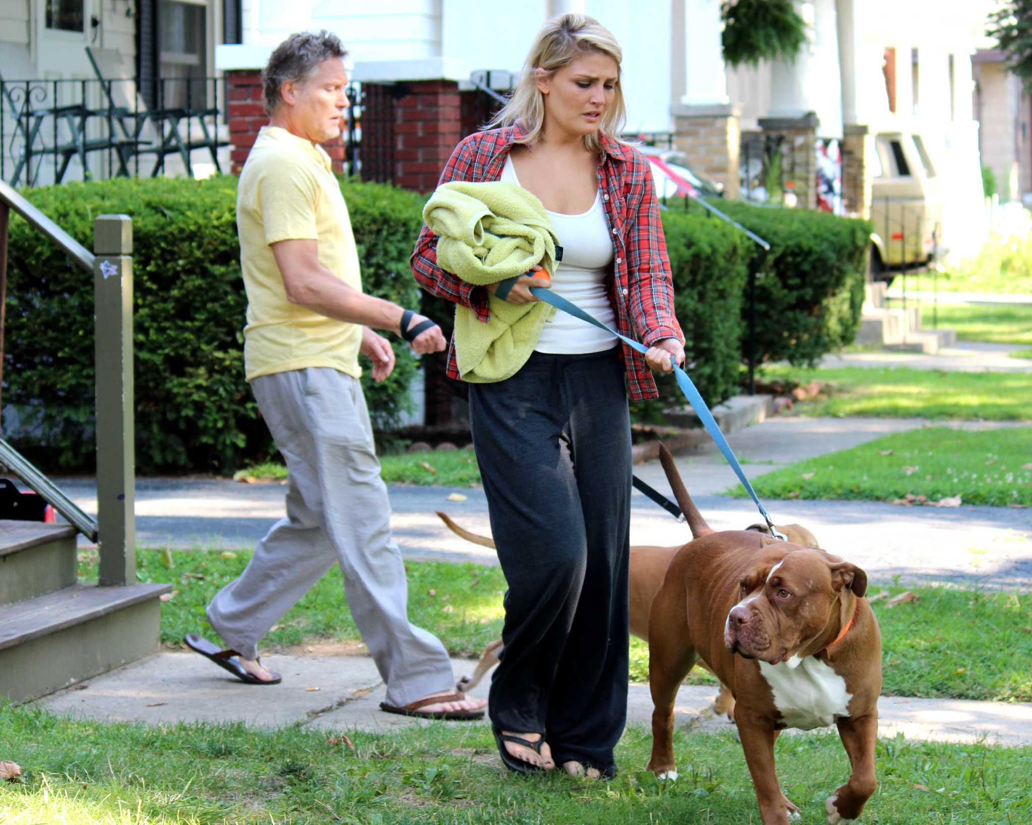 Dogs that mauled, killed pet are surrendered to city