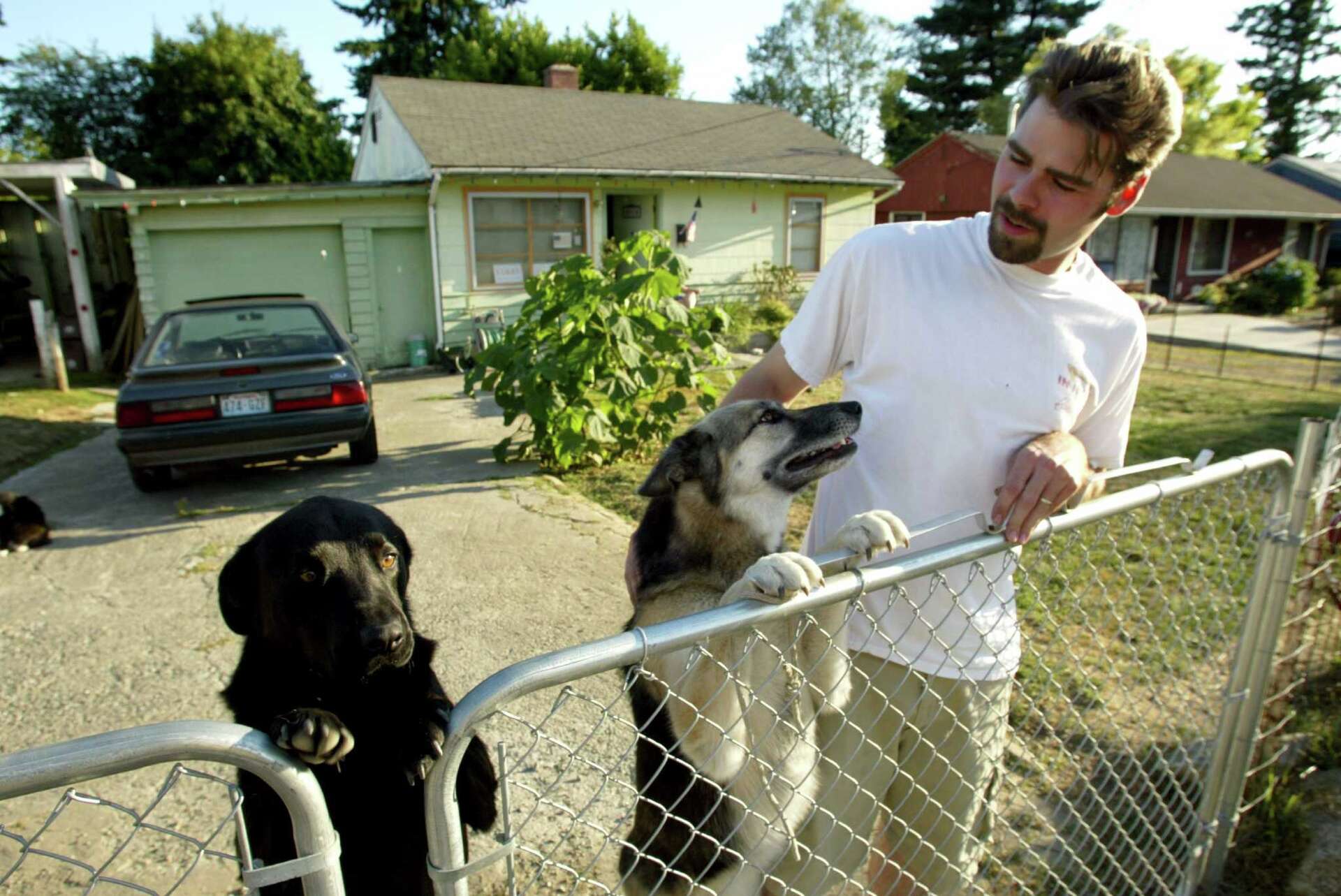 Seattle's top dog names - and assorted awesome ones