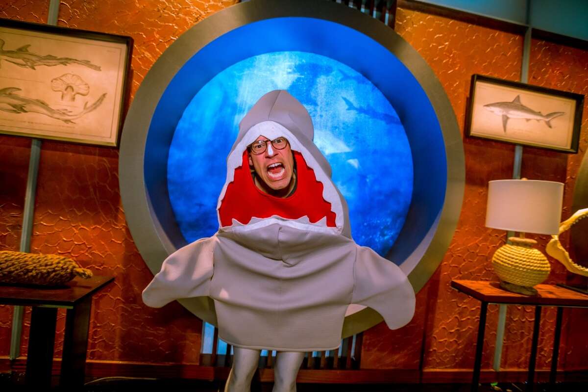 Where are the shark attacks?