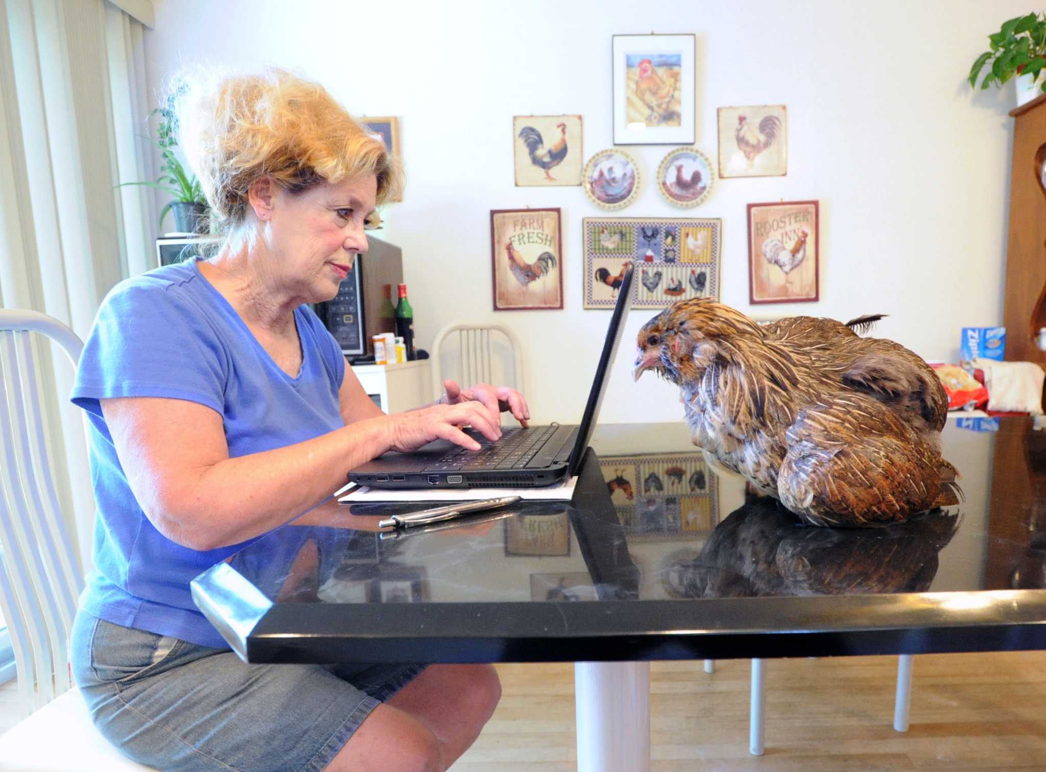 Chicken rules the roost in her Greenwich home