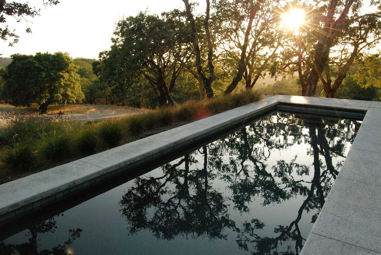 Design profile: Q&A with Marcel Wilson of Bionic Landscape Architecture