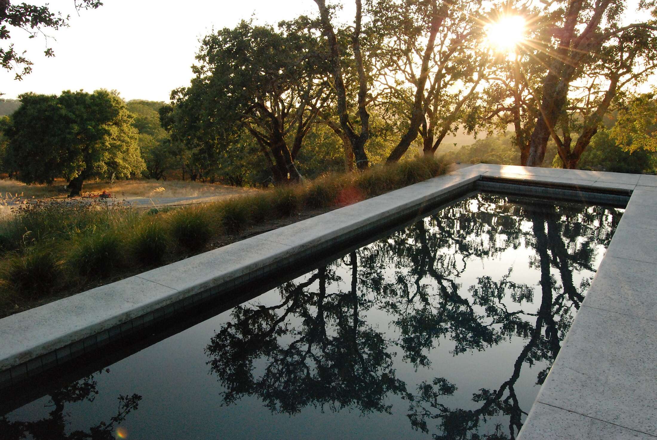 Design profile: Q&A with Marcel Wilson of Bionic Landscape Architecture