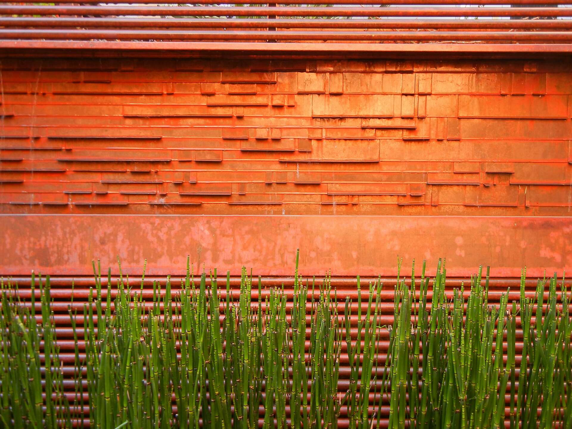 Design profile: Q&A with Marcel Wilson of Bionic Landscape Architecture