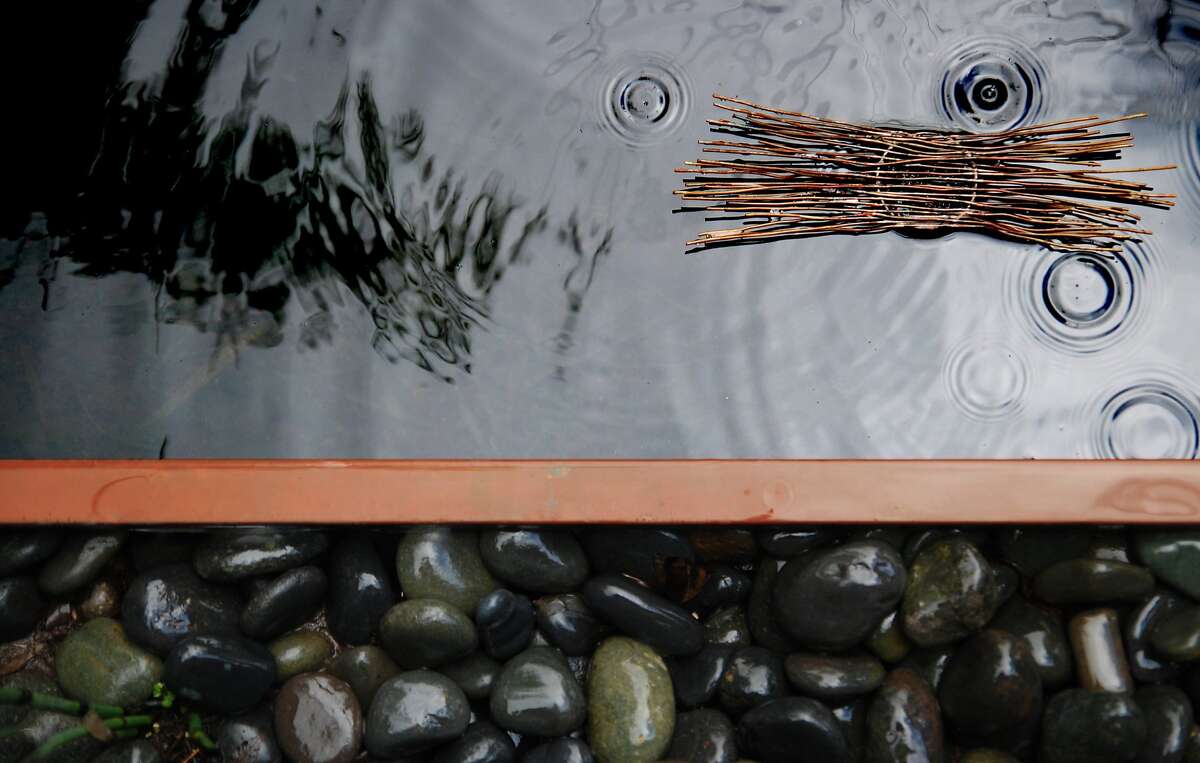 Design profile: Q&A with Marcel Wilson of Bionic Landscape Architecture