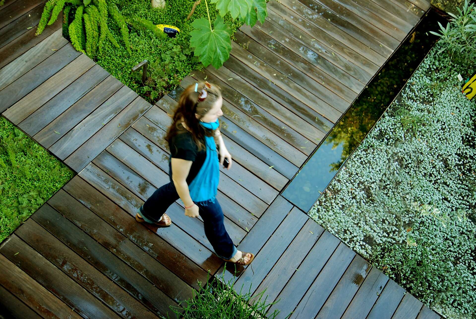 Design profile: Q&A with Marcel Wilson of Bionic Landscape Architecture