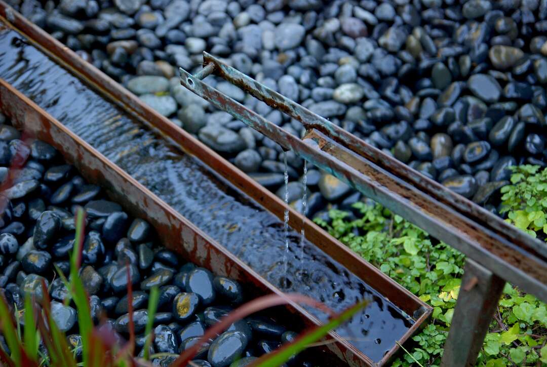 Design profile: Q&A with Marcel Wilson of Bionic Landscape Architecture