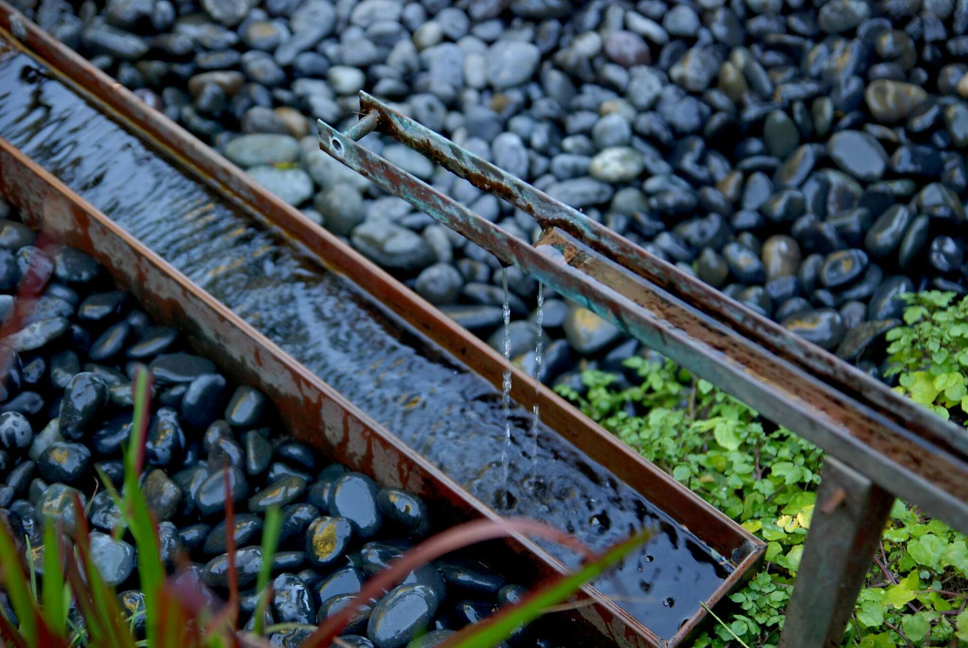 Design profile: Q&A with Marcel Wilson of Bionic Landscape Architecture