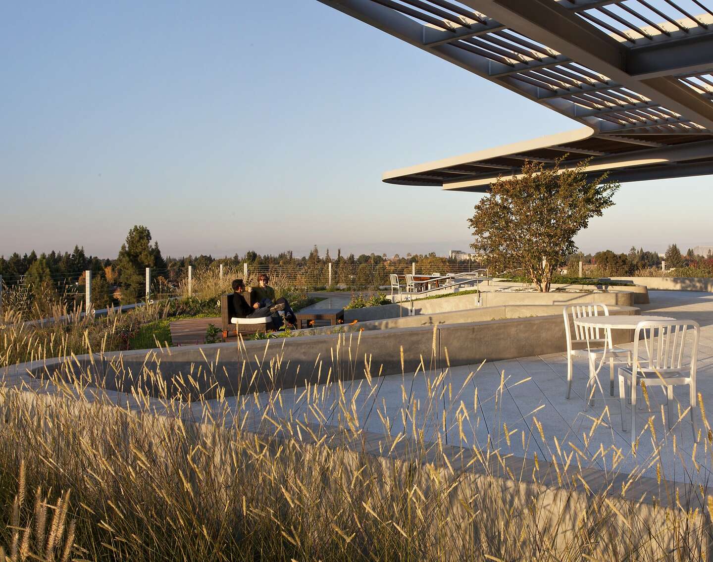 Design profile: Q&A with Marcel Wilson of Bionic Landscape Architecture