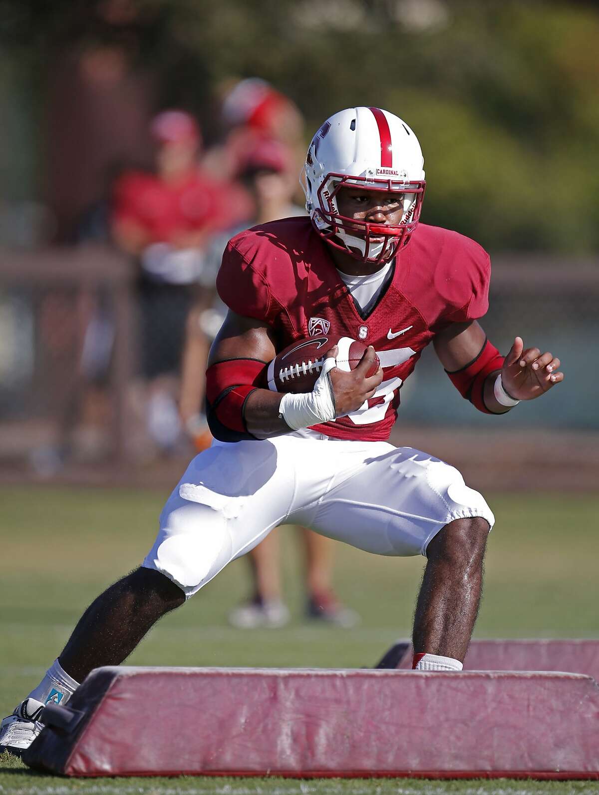 Stanford's Sanders in running to start