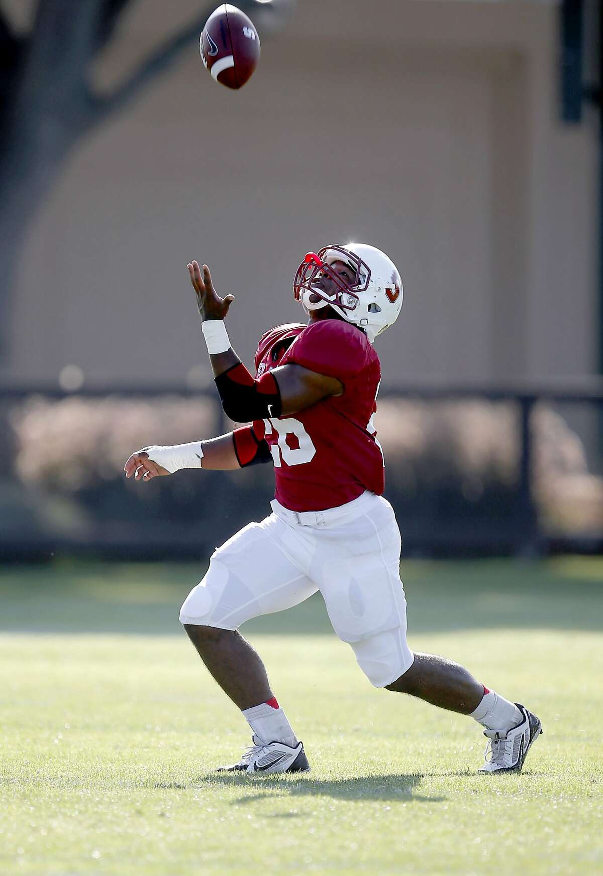 Stanford's Sanders in running to start