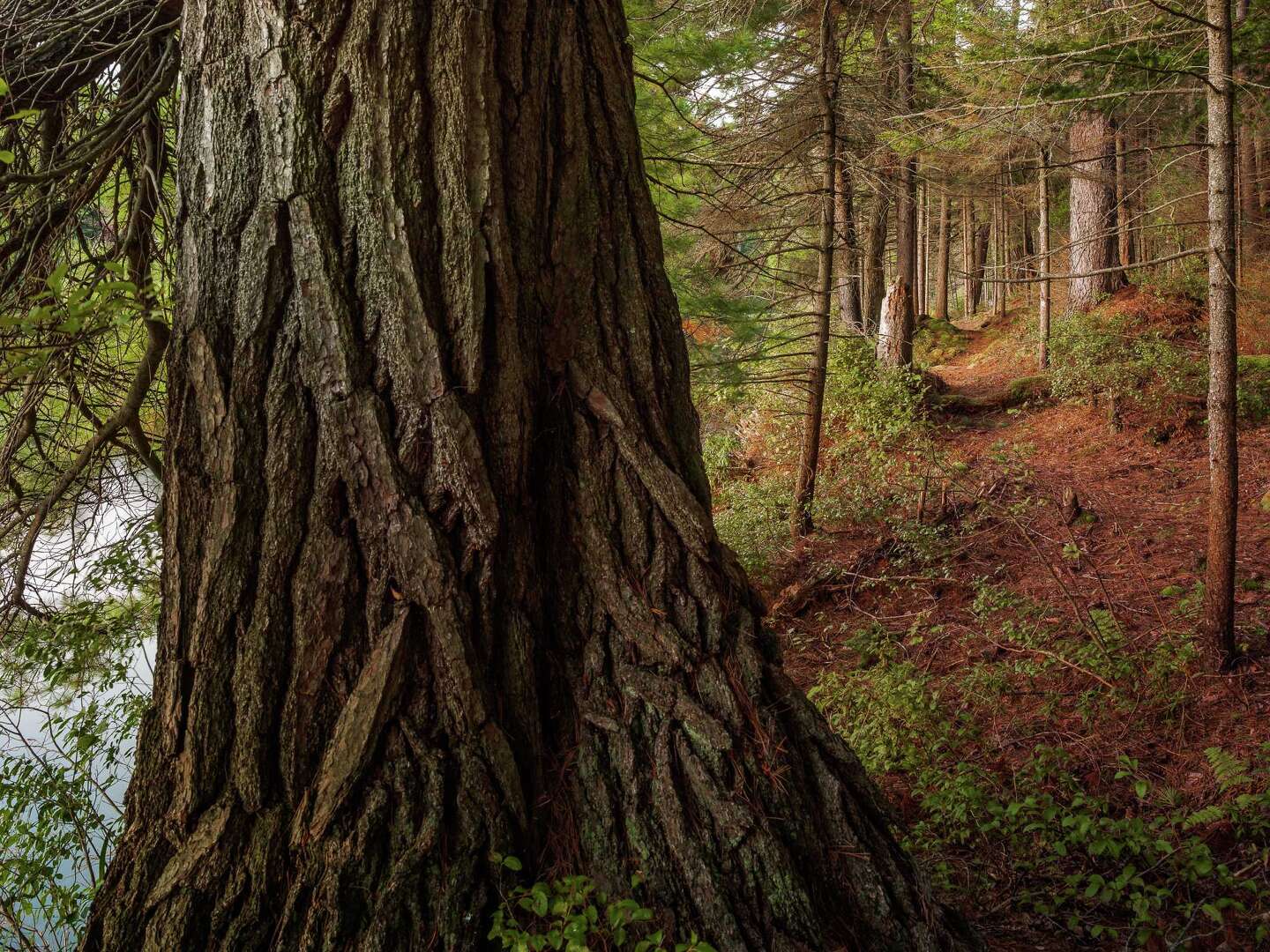 J.P. Morgan retreat on market