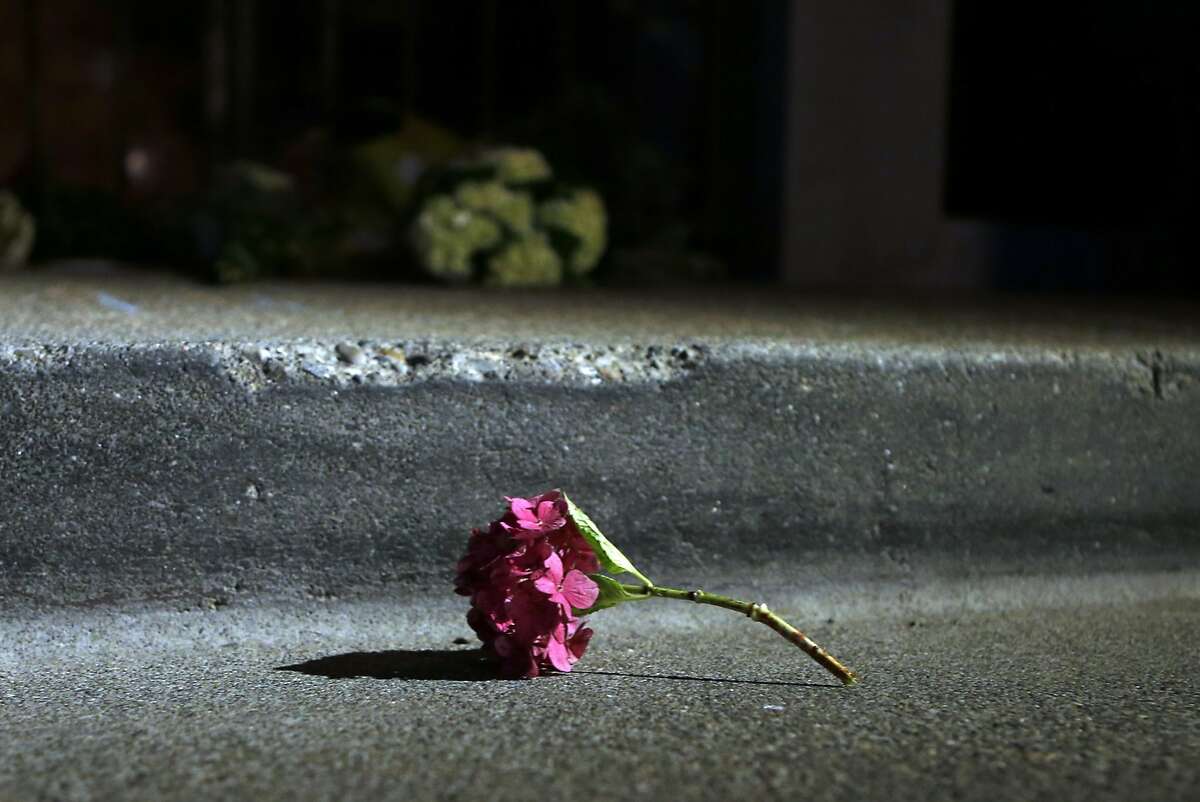 Robin Williams S.F. memorial a private affair for comedians