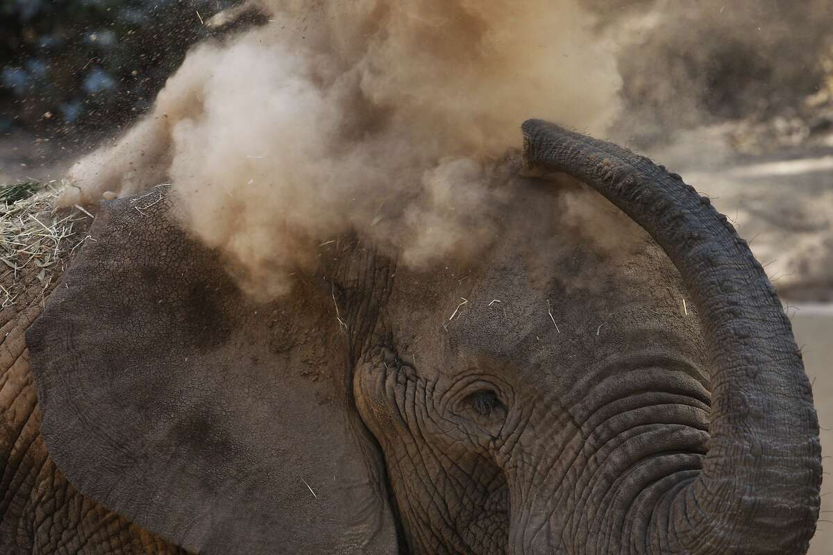 Getting clean by scrubbing with dirt
