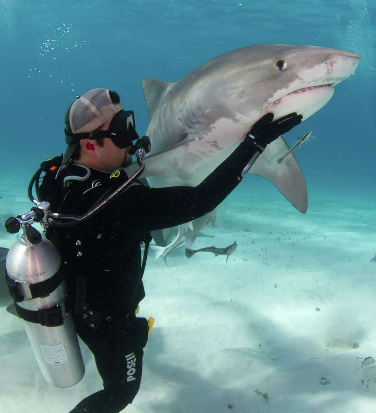 Woodlands diver comes face to face with sharks for 'Shark Week'