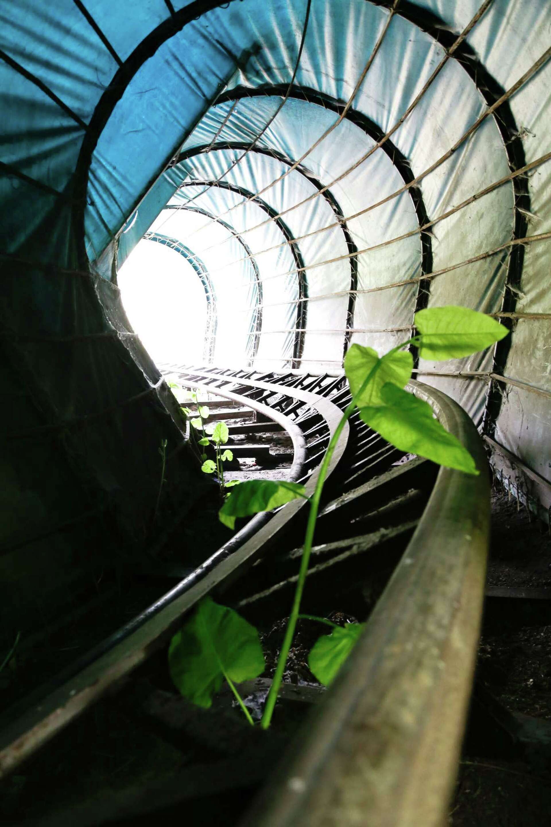 slowest roller coaster ever