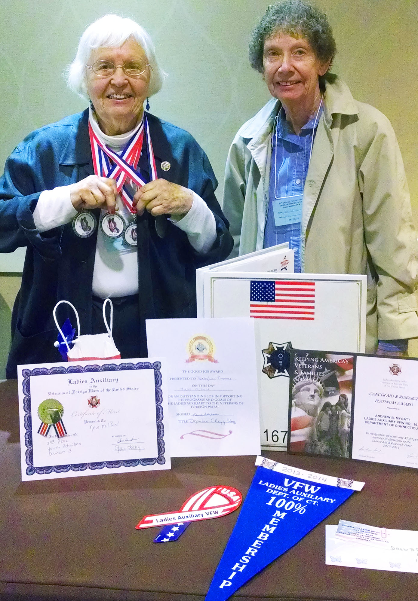 VFW Ladies Auxiliary earns honors