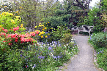 9 places to see breathtaking blooms in Seattle this spring