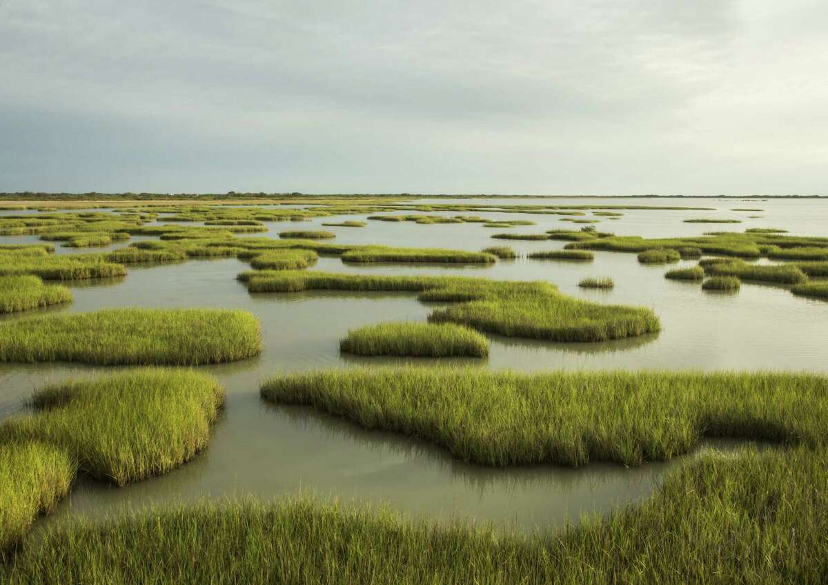 Deal approved to turn Powderhorn Ranch into state park