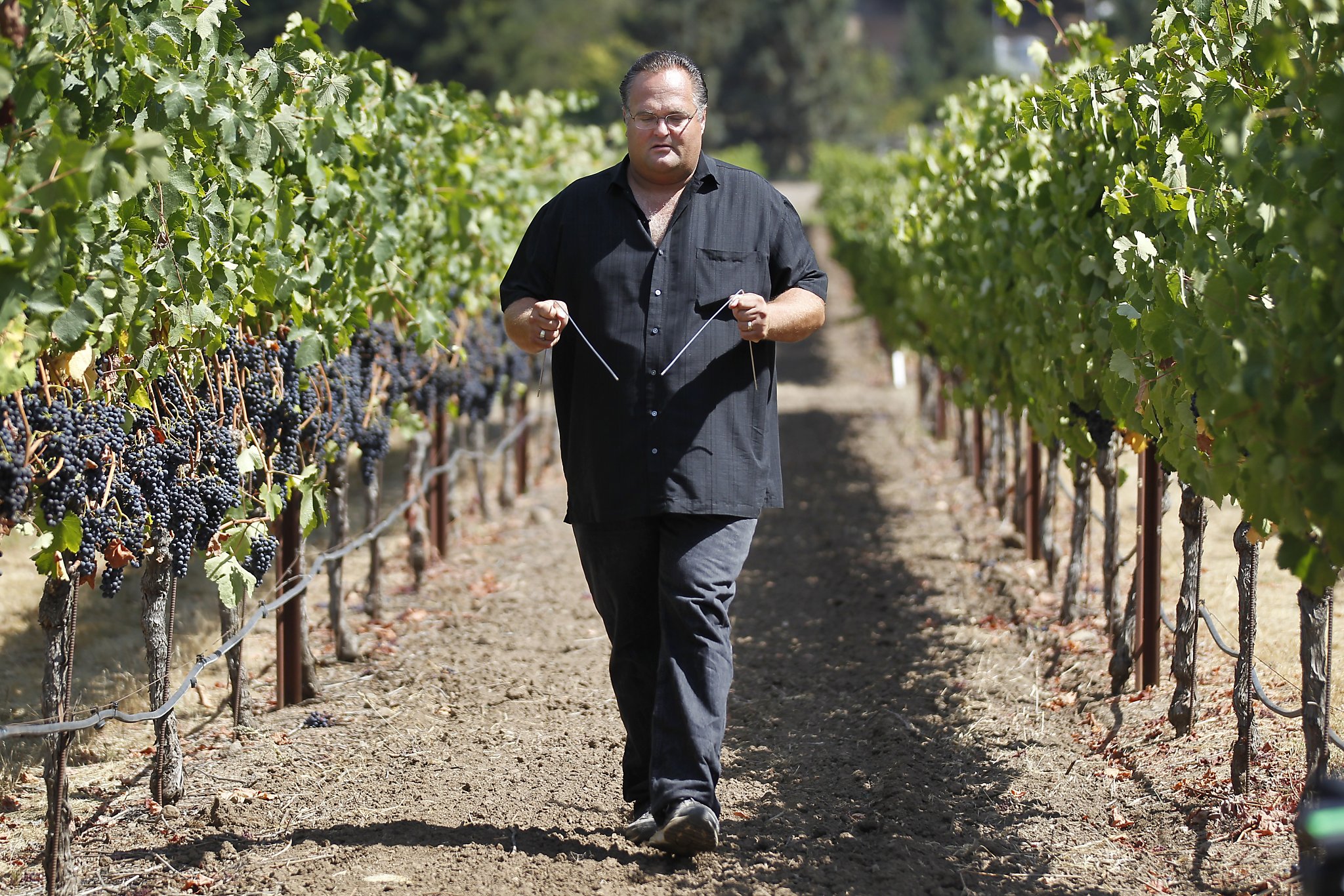 California drought: Water witches in demand as wells run dry