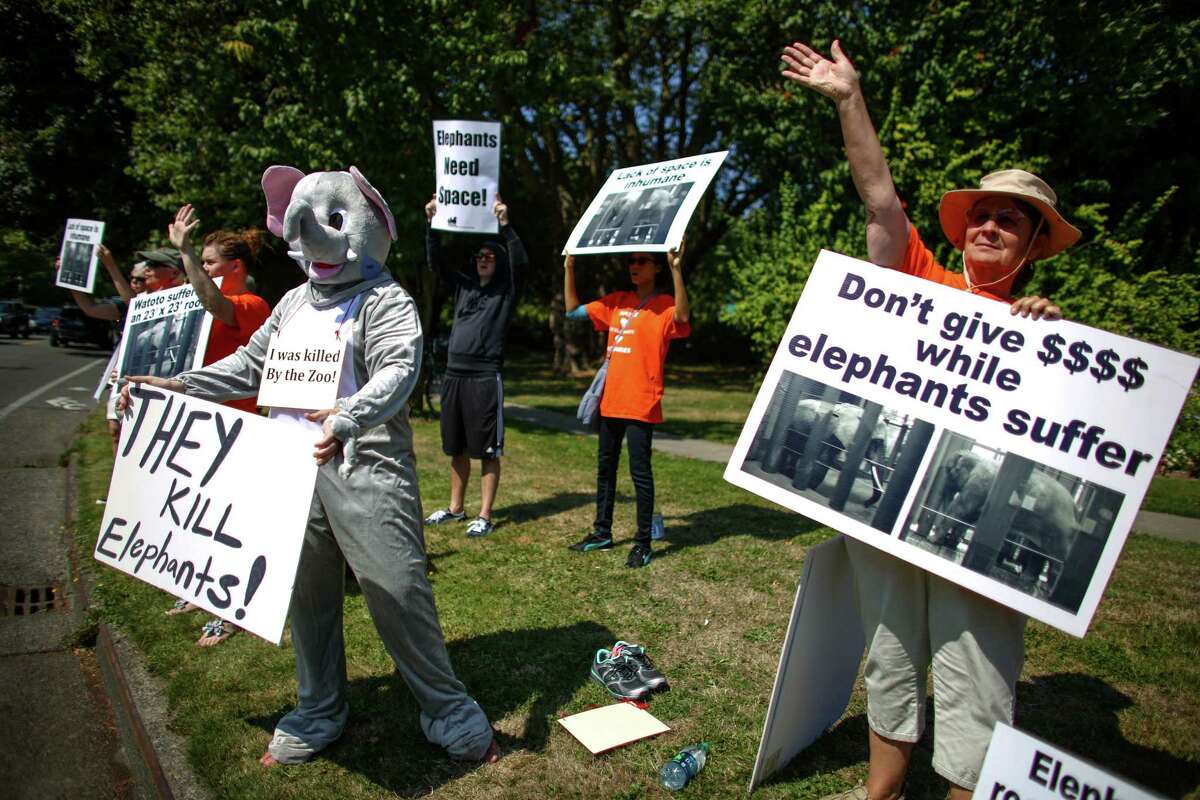 Vigil held for euthanized elephant