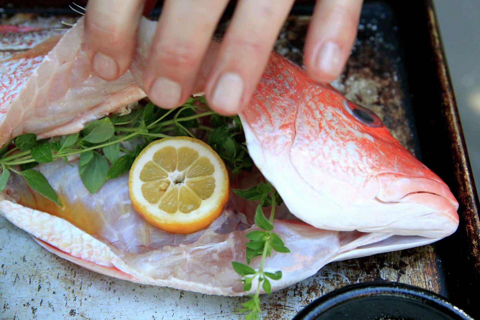 Fish for compliments: Kokkari chef’s deep secrets for grilling