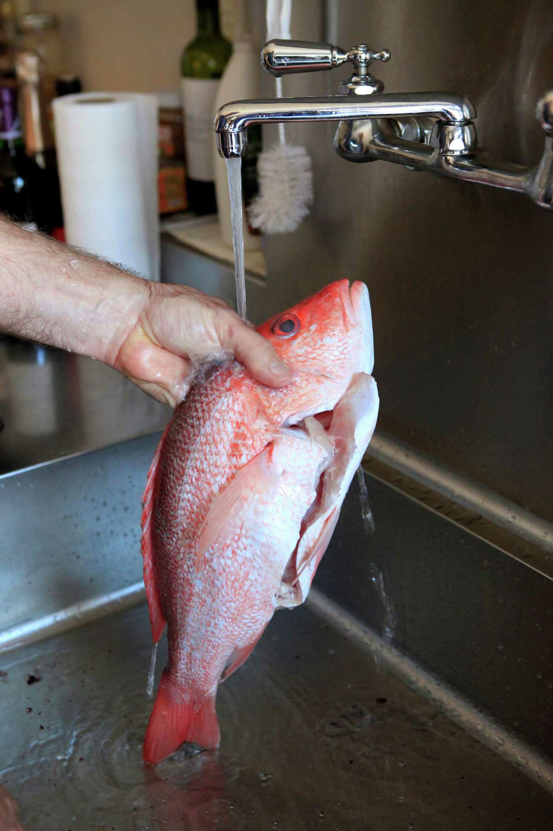 Fish for compliments: Kokkari chef’s deep secrets for grilling