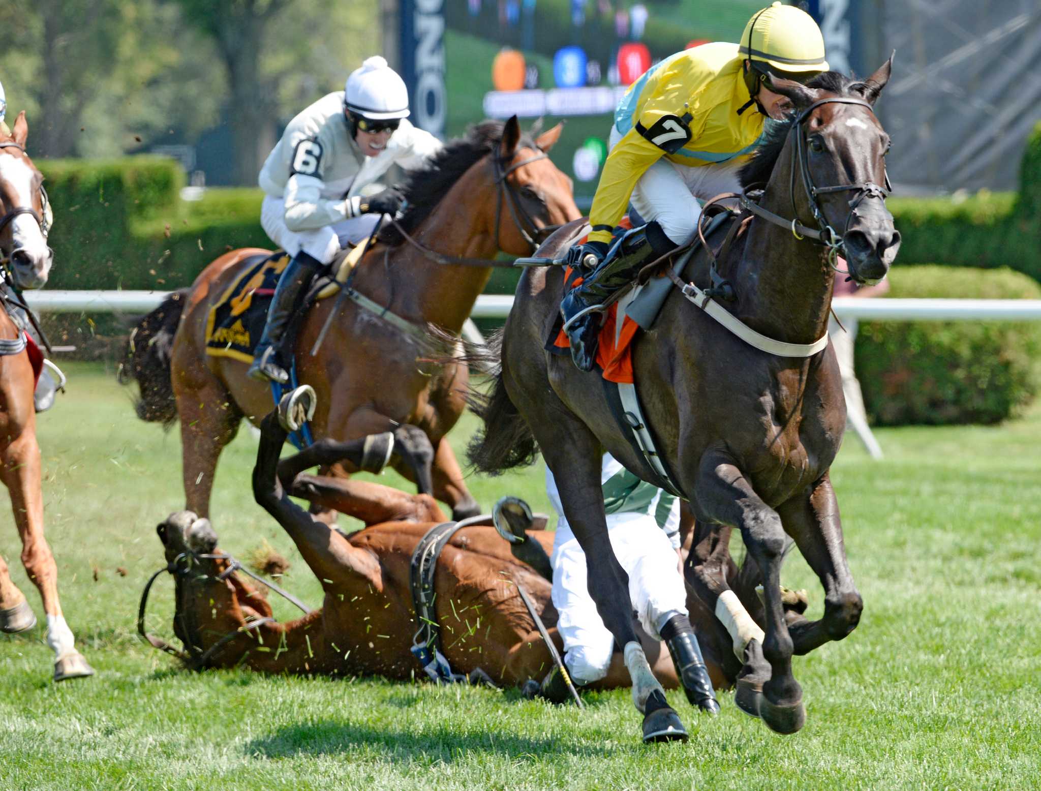 Fatality mars steeplechase race