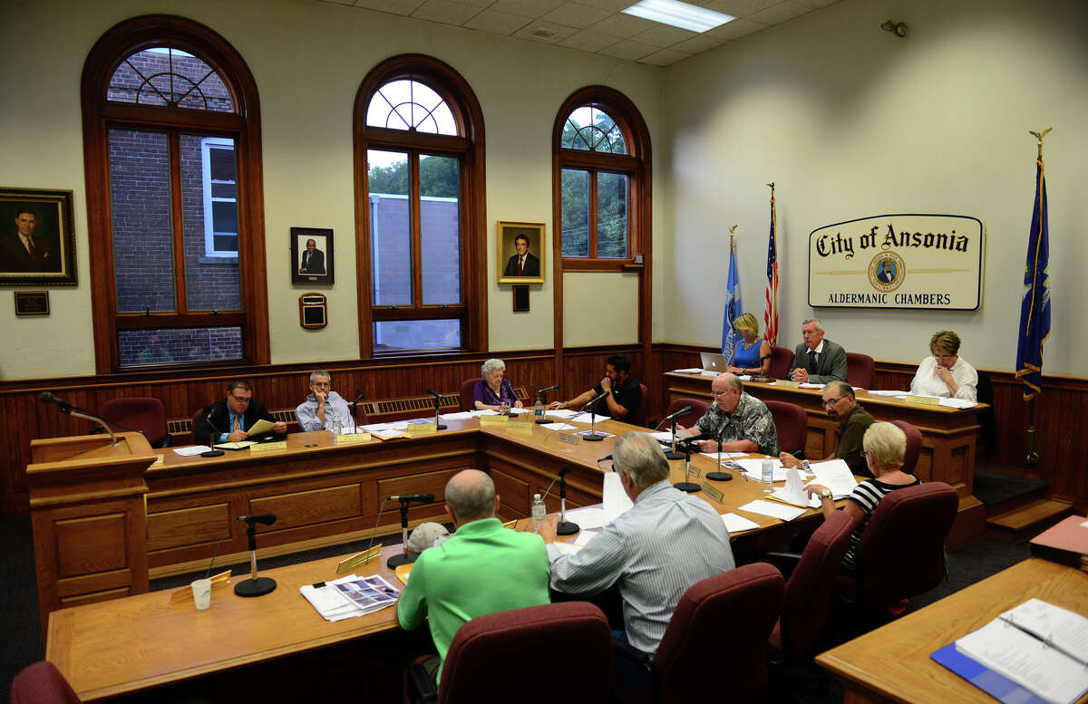 Ansonia to decide on reducing government