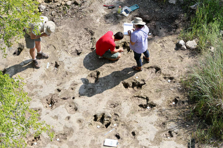 Exclusive photos of the only dinosaur tracks known in Bexar County