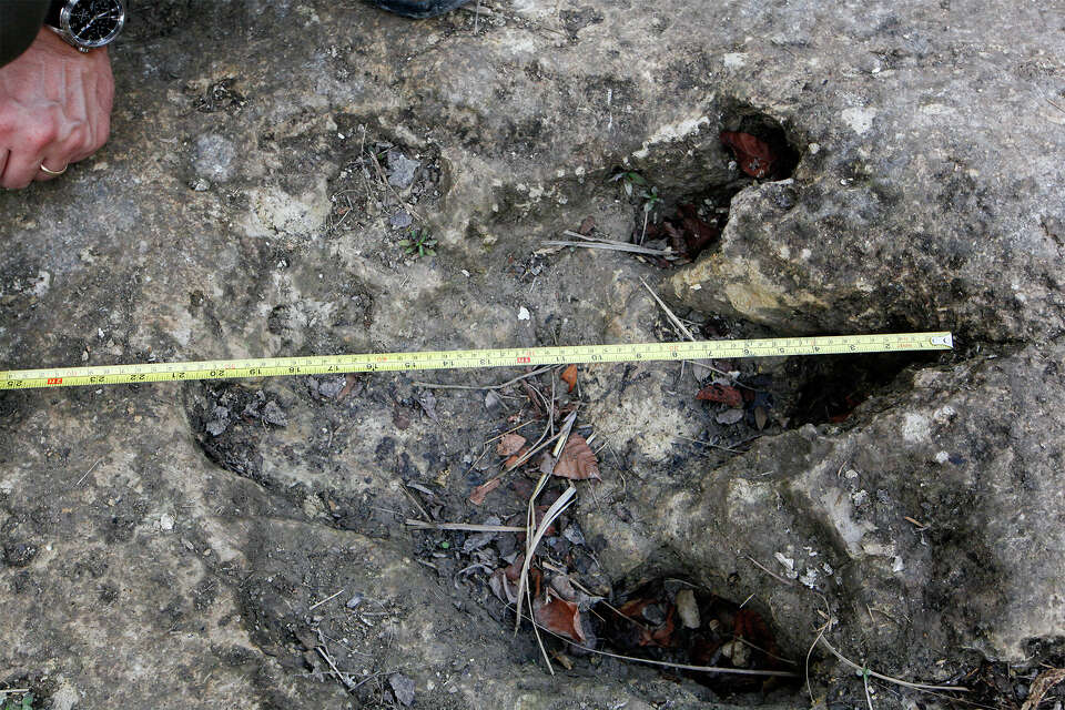 Exclusive photos of the only dinosaur tracks known in Bexar County