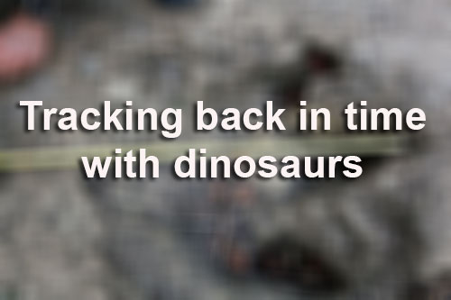 Walking back in time with dinosaurs