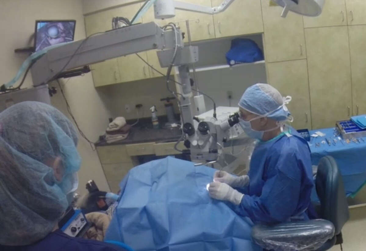 Houston's top doctors step in to save city's famed orangutan