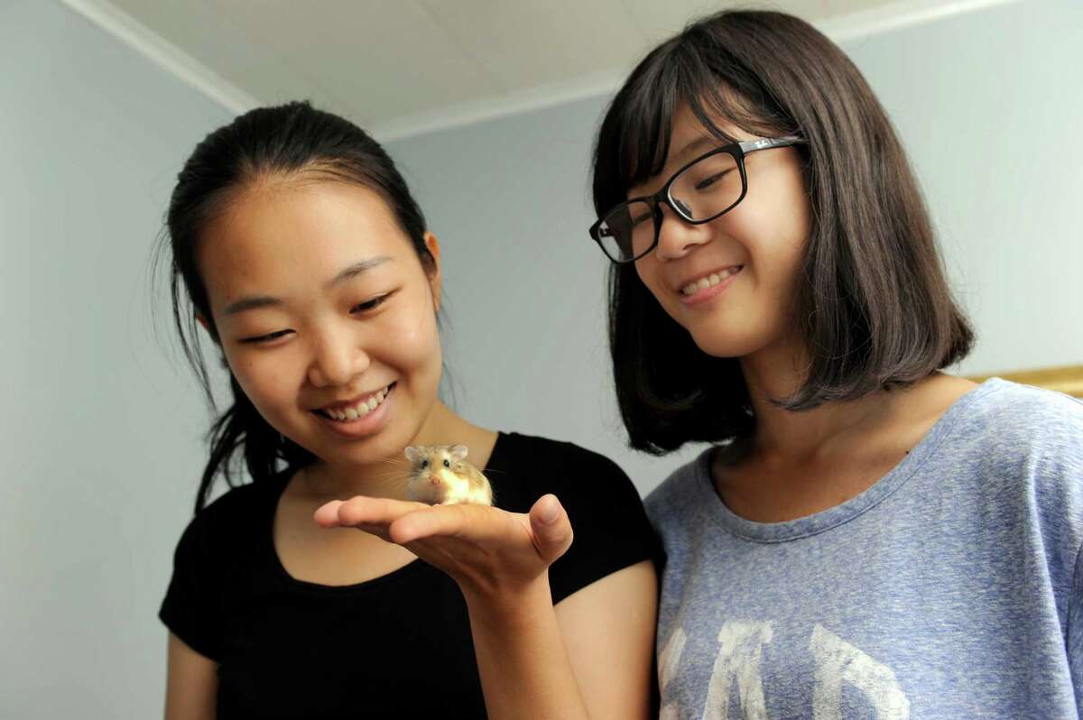 Chinese exchange students fill empty nests