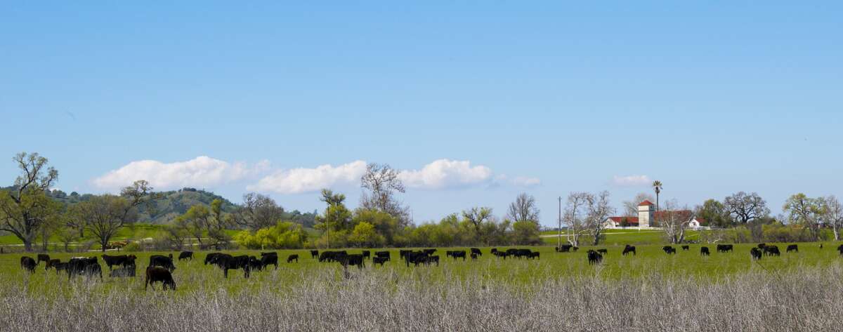 Exploring Santa Margarita Ranch's deep roots