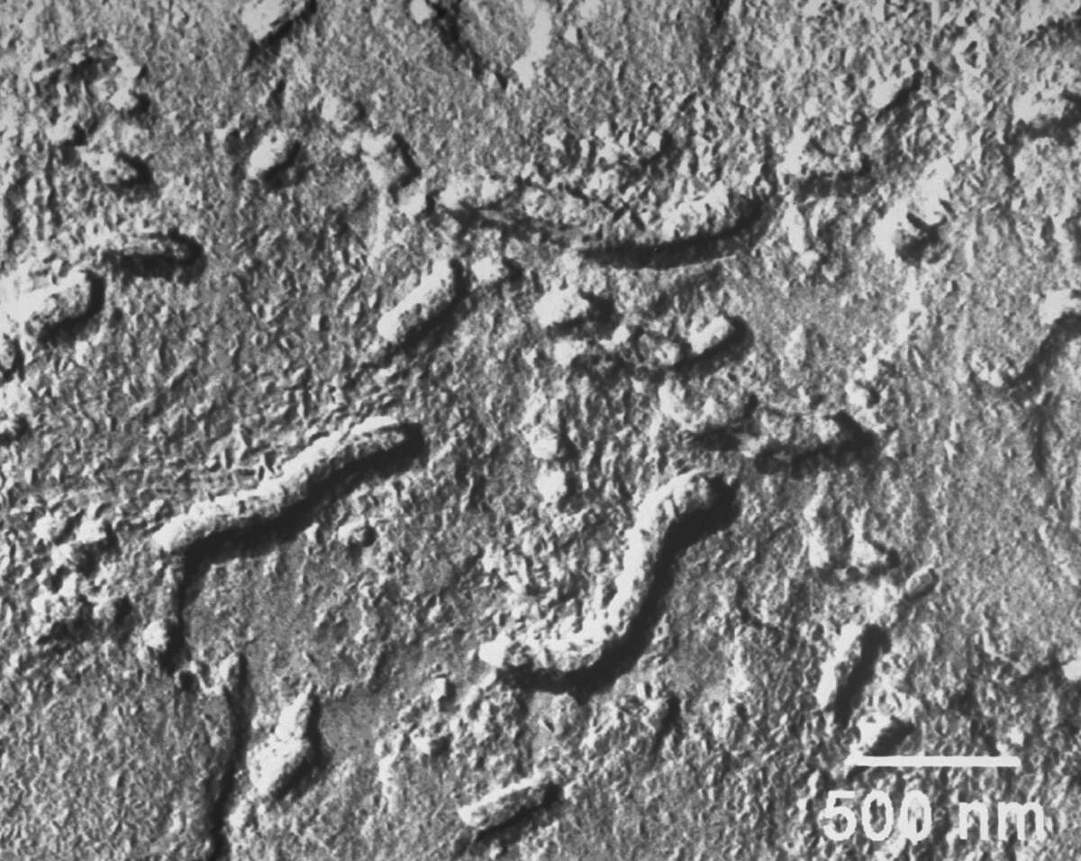 Physicist claims Earth in danger from Alien nuclear strike