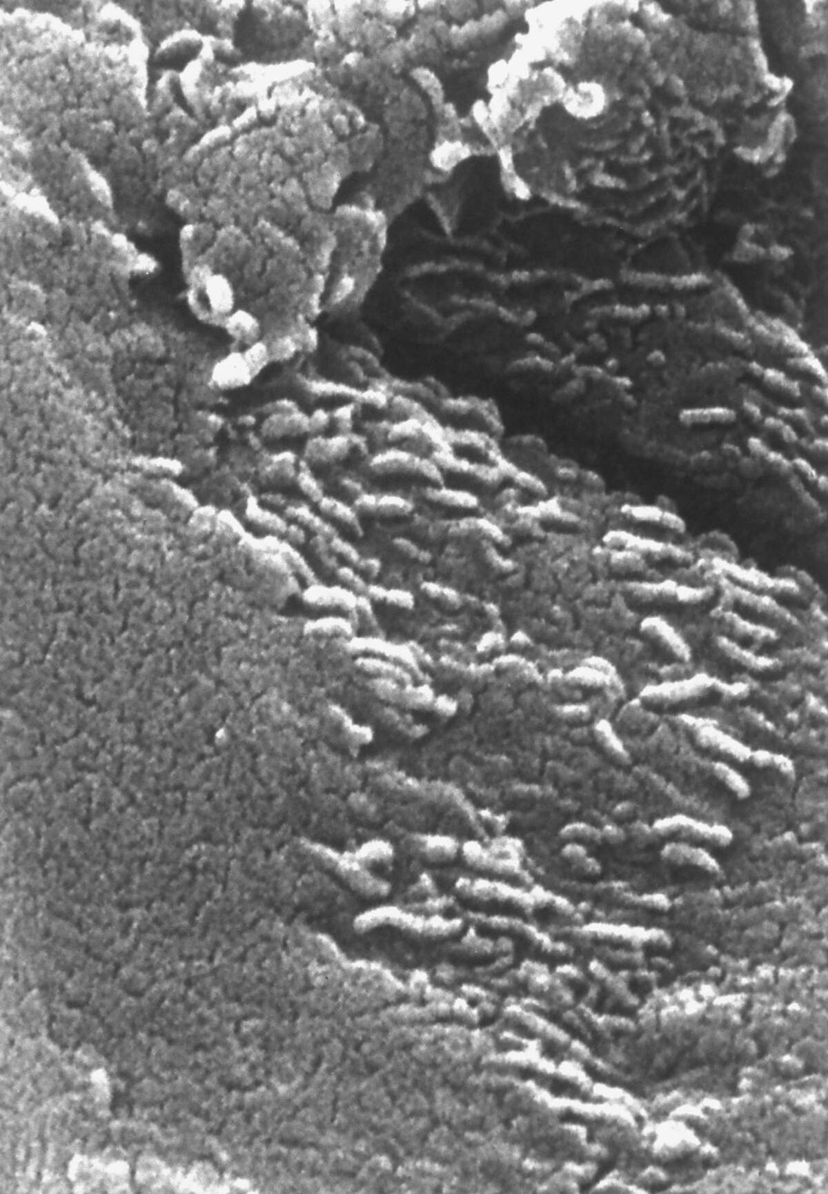 Physicist claims Earth in danger from Alien nuclear strike