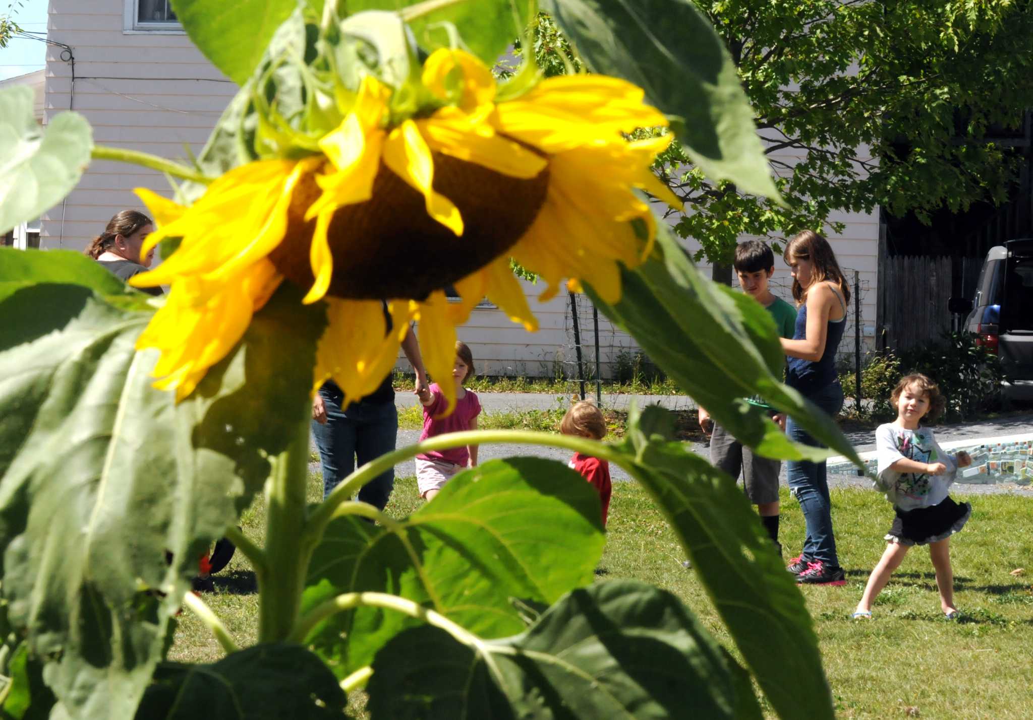 Troy groups "take back" their community