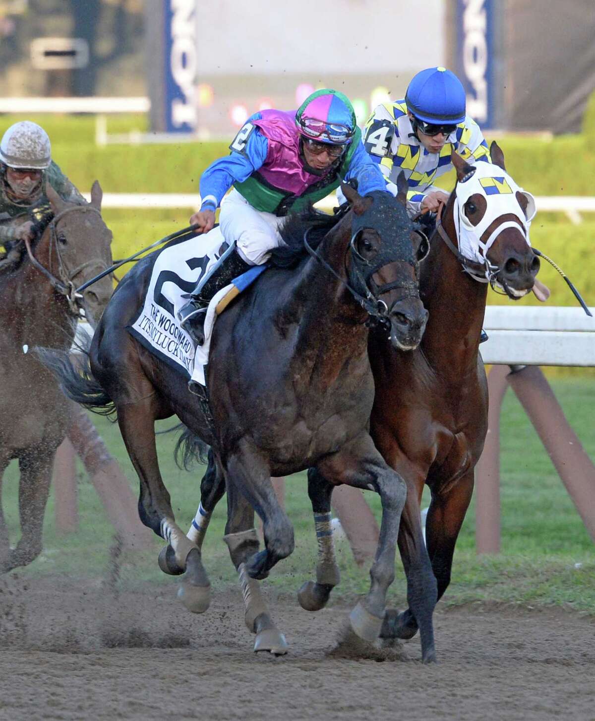 Brave run by Wise Dan