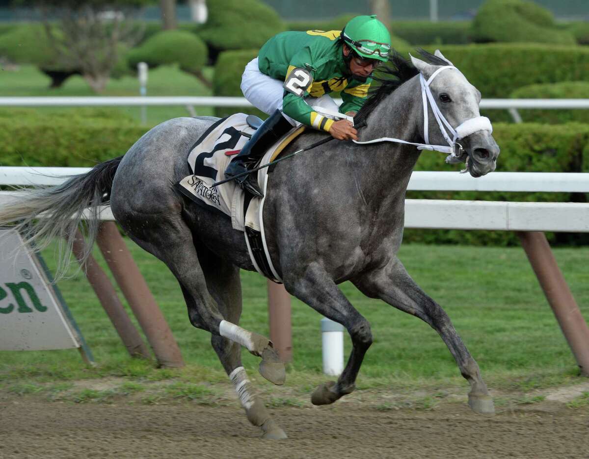 Brave run by Wise Dan