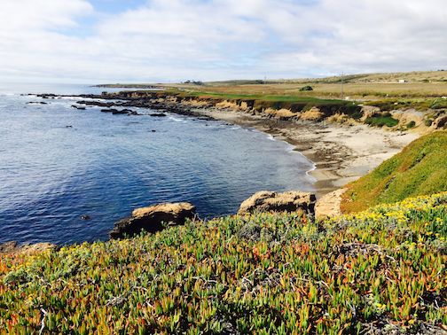 The new and classic charms of Pescadero