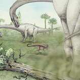 Largest-ever 'sea dragon' fossil sat undiscovered in museum for 20 ...