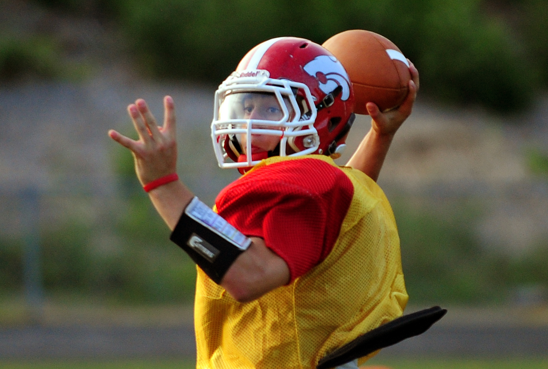 Capsule look at the SWC football teams