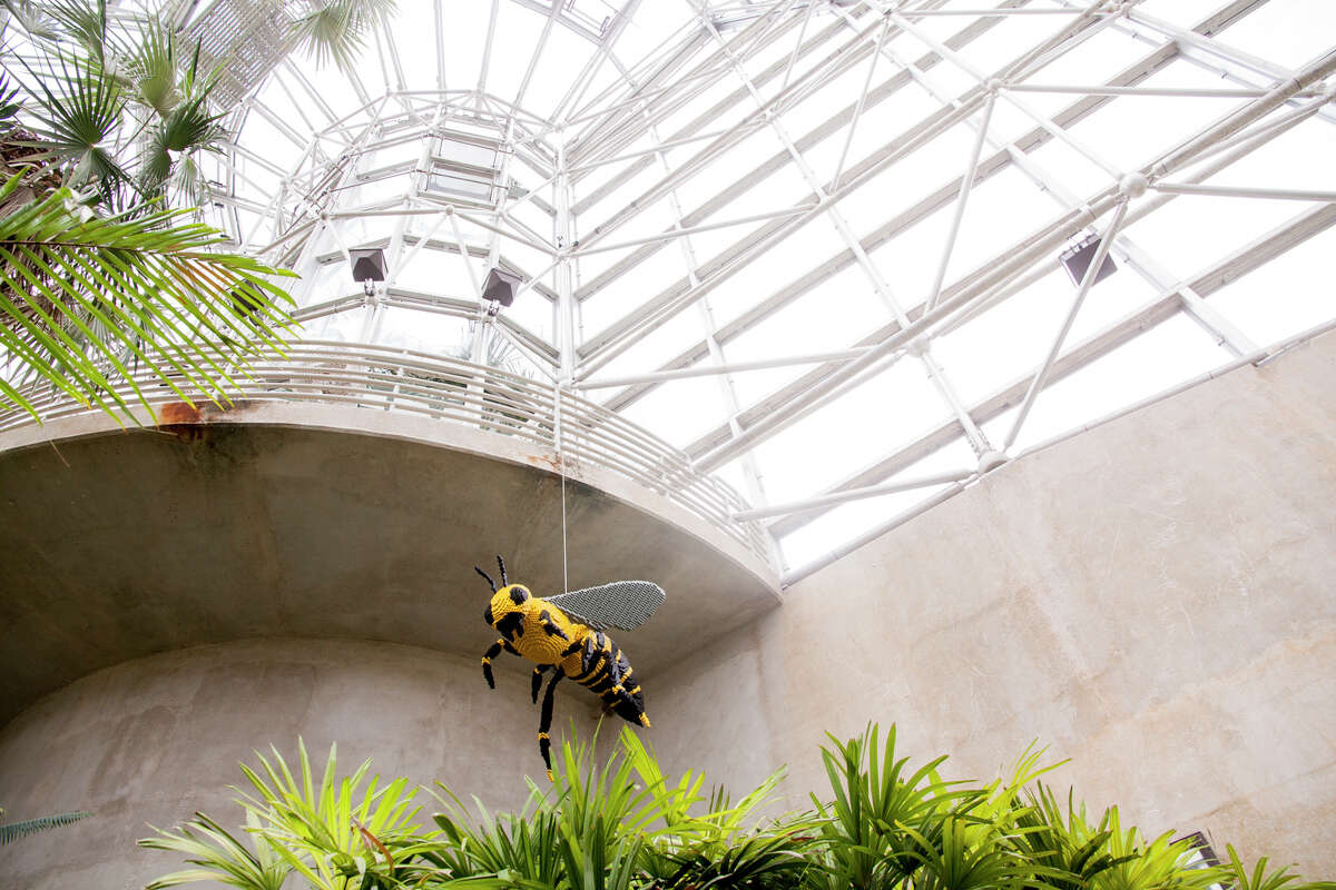LEGO sculptures take over Botanical Garden Saturday