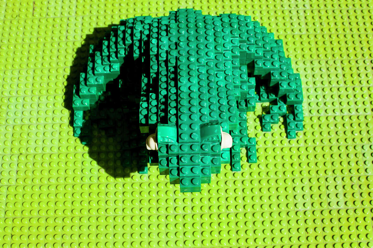 LEGO sculptures take over Botanical Garden Saturday