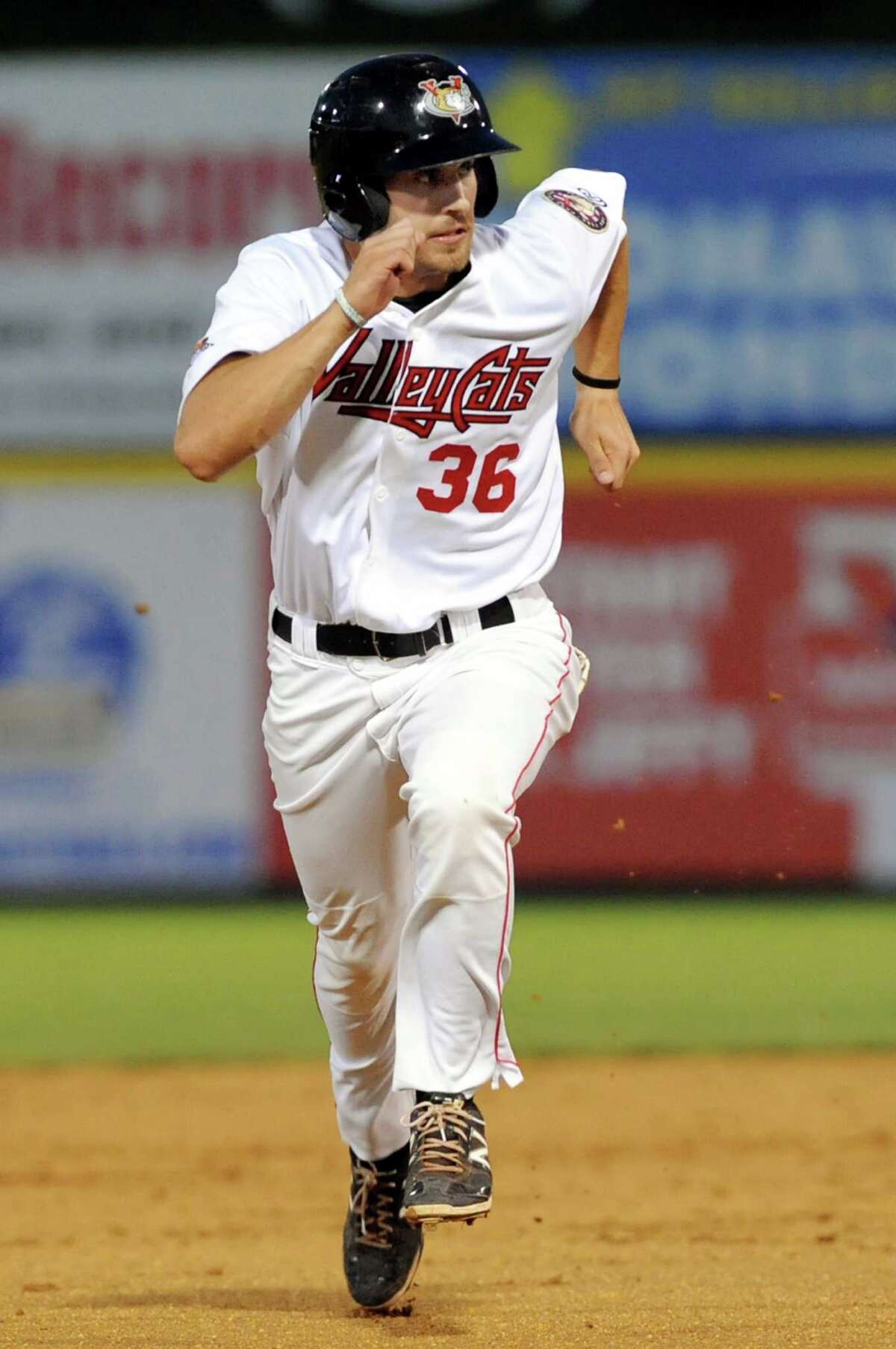 'Cats back in league final