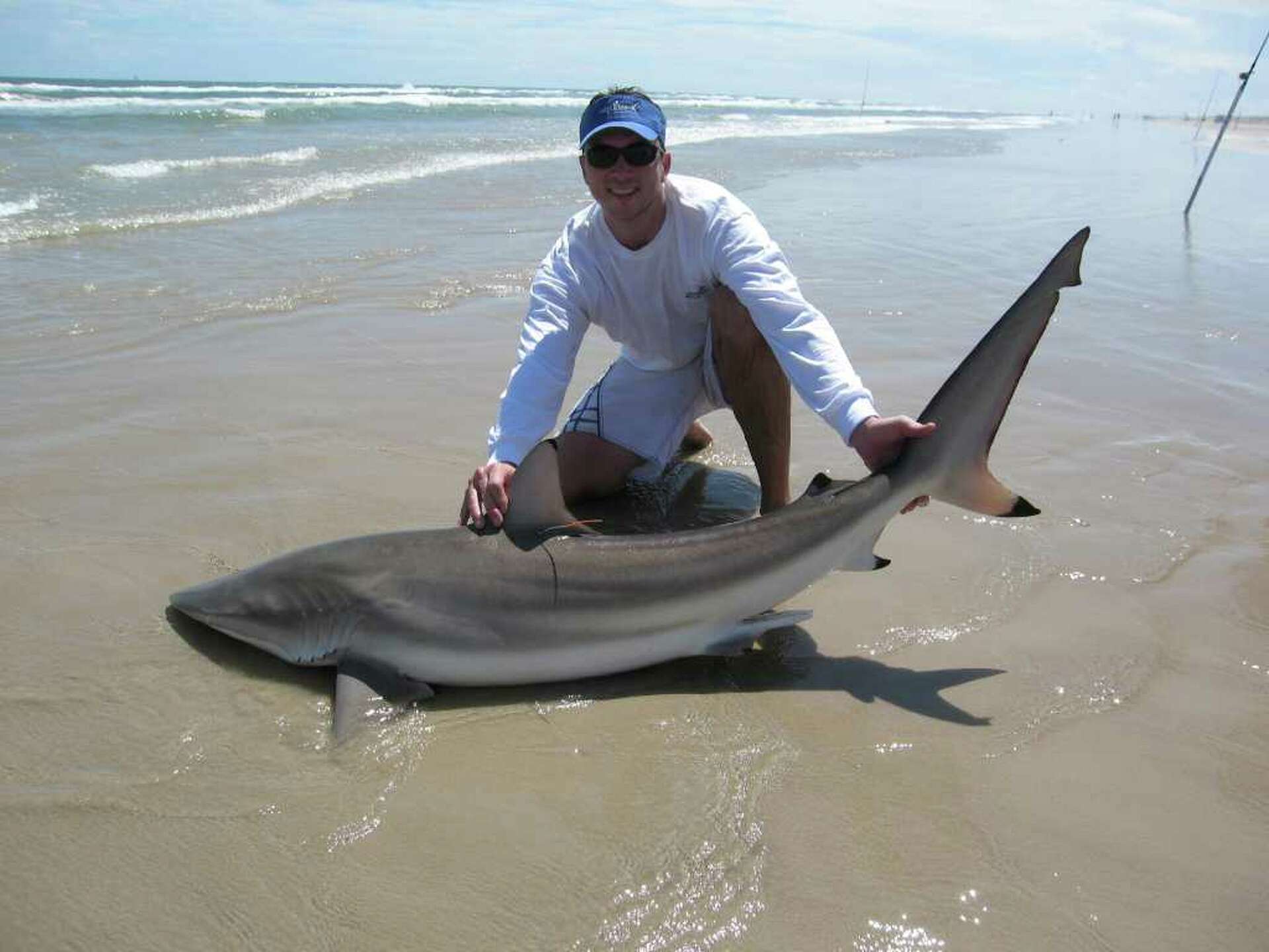 New video released of 'biggest shark ever filmed'
