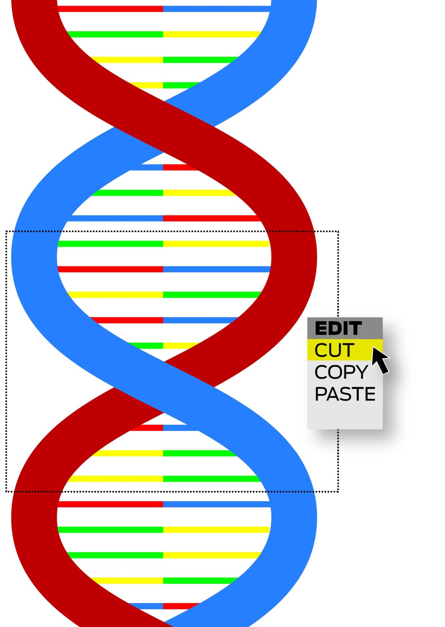 Editing DNA could be genetic medicine breakthrough