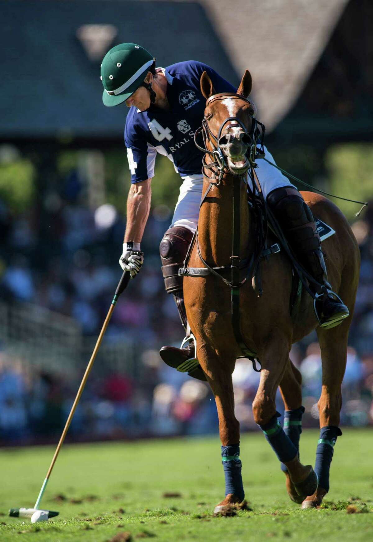 Polo fans celebrate summer's last chukkas