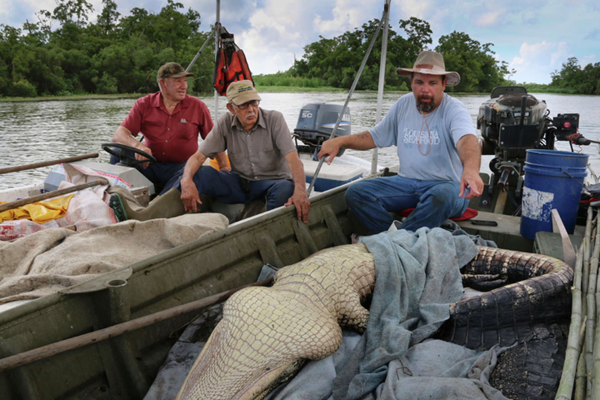 Alligator hunting season opens in Texas