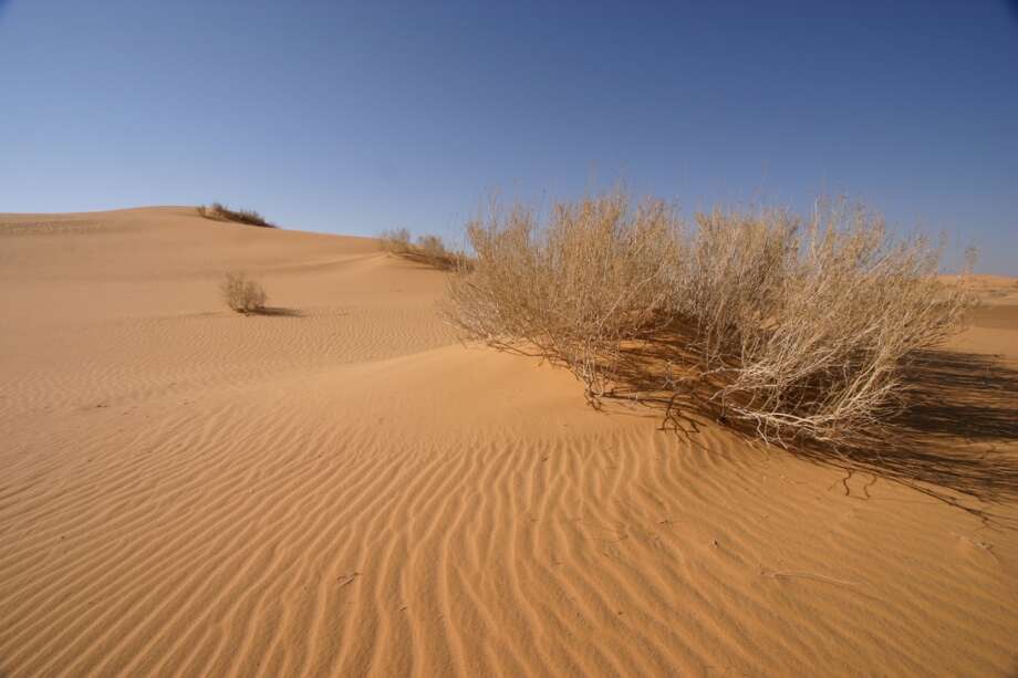 The biggest Saudi oil field is fading faster than thought - Houston ...